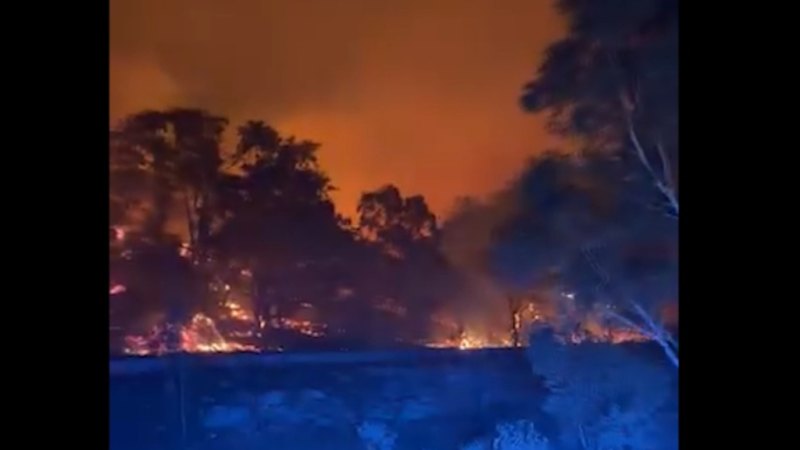 Video: Fire brigade shares video of bushfire