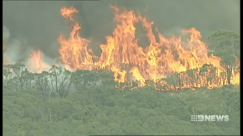 Video: Victoria Bushfires: Outskirts of Melbourne at risk