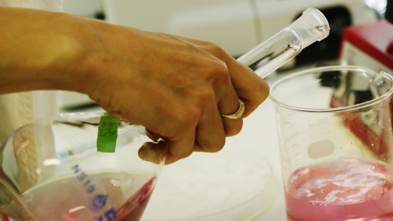 School science experiment gone wrong sends children and parent to hospital