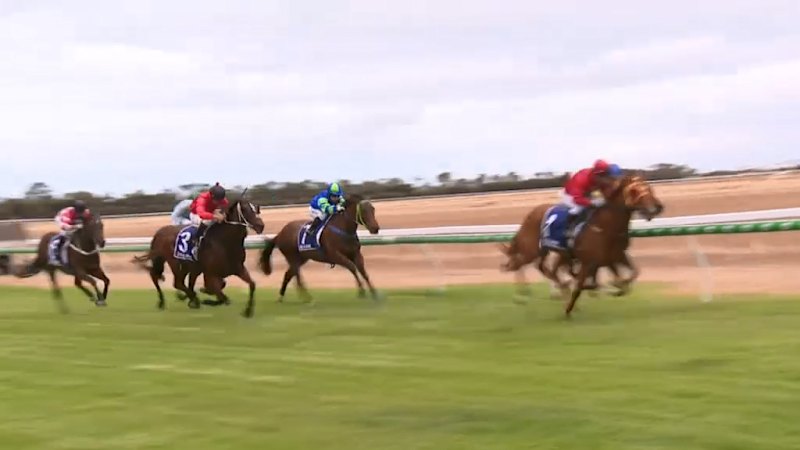 Video: Kangaroo Island racing season boosts moral