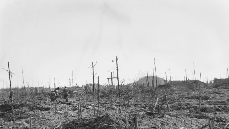 100 years on: The Battle of Polygon Wood