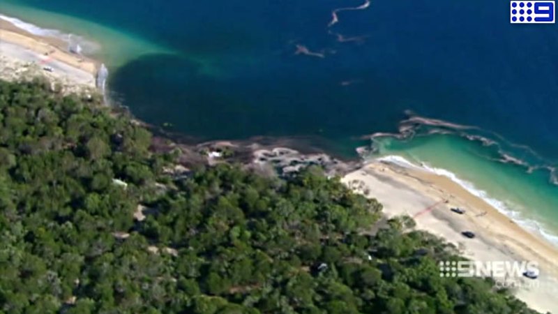 Video: Inskip Point sinkhole was 'mayhem'