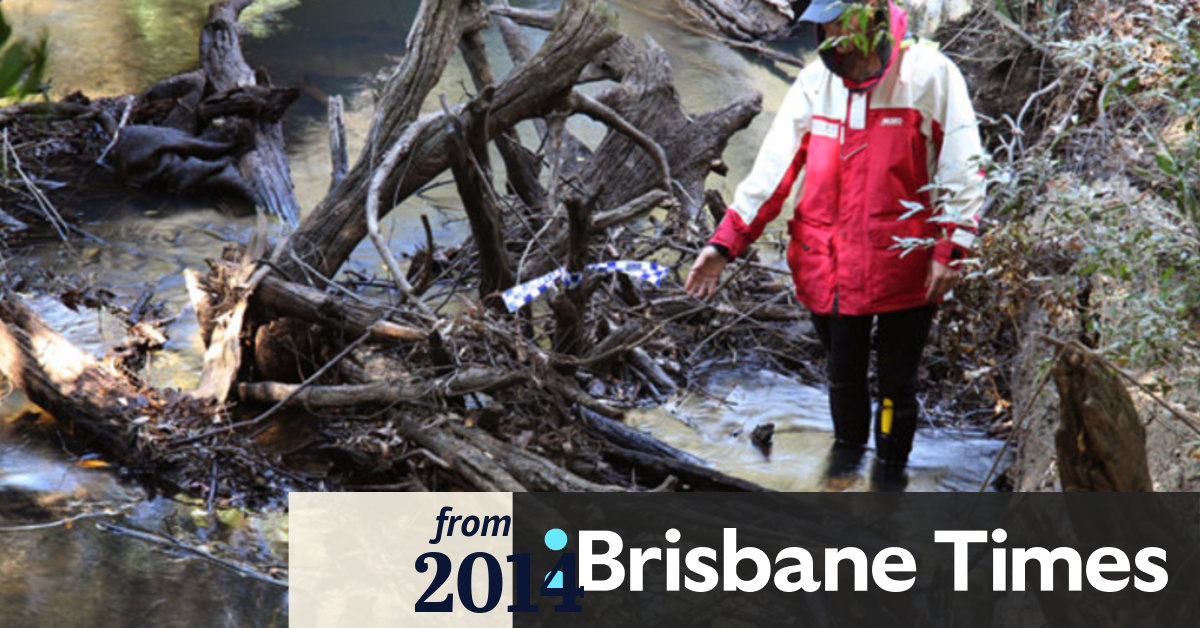 Daniel Morcombe murder trial: clothing found at bottom of creek bed