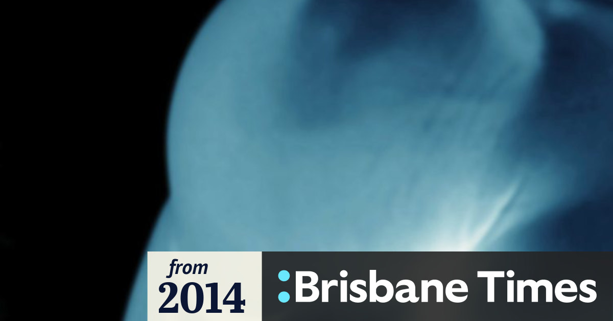 Queensland tops nation for steroid arrests