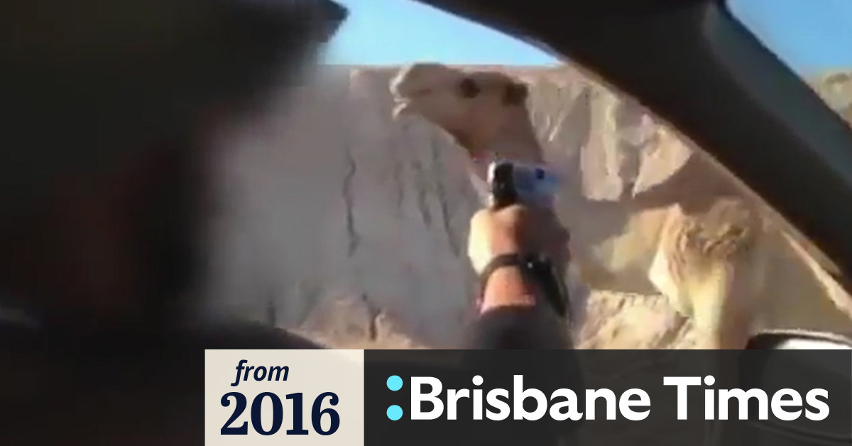Video: Elite Israeli soldiers jailed for shooting camel
