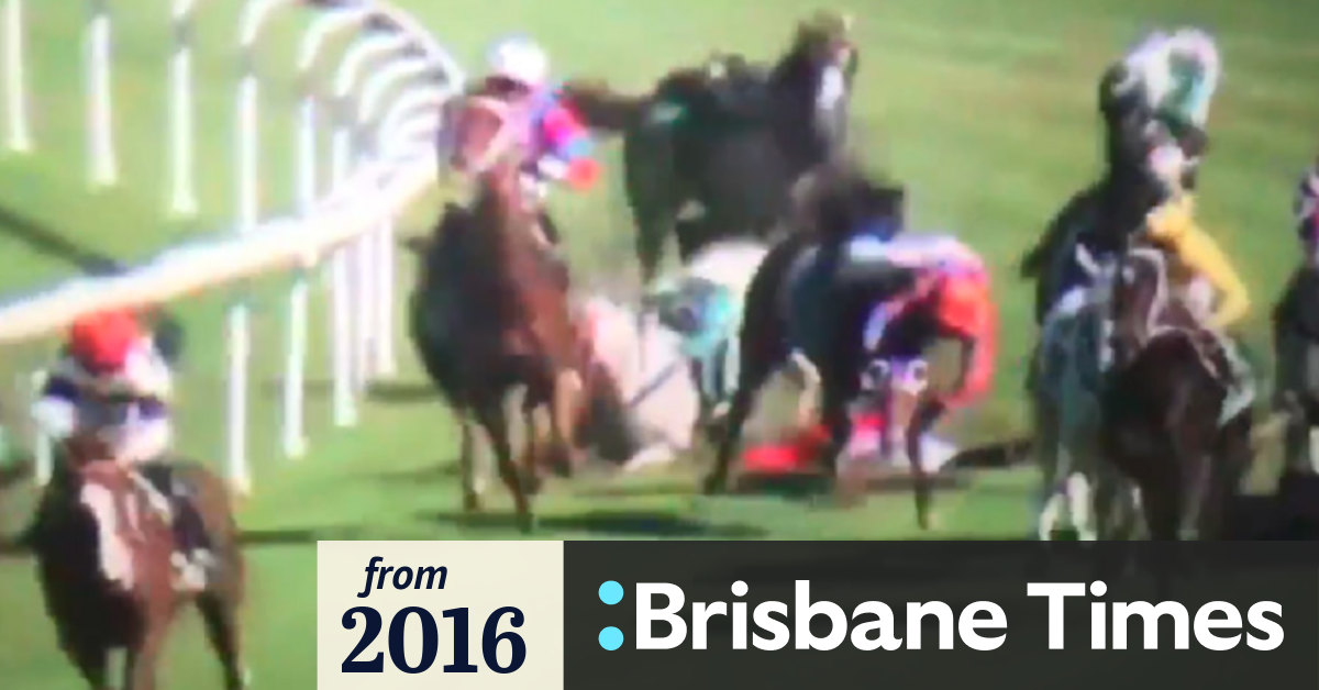 Video: Five-horse fall at Taree