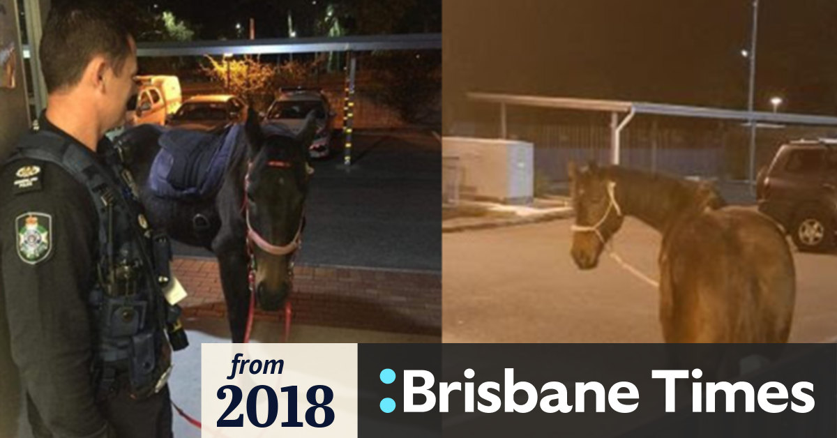 Video: Drunk woman rides horse through bottle shop drive-through