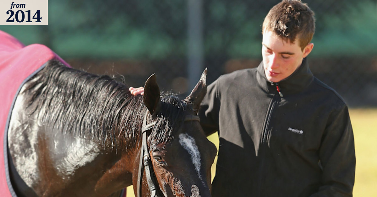 Adelaide best-credentialled international in Cox Plate since 2002
