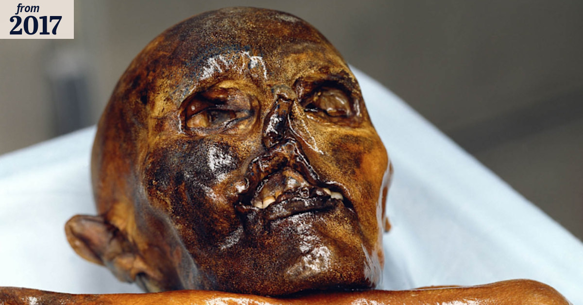 Clues in a very cold case shed light on how Otzi the Iceman died