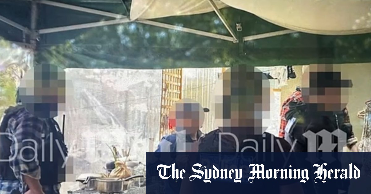 Video: Police describe images of attempted Dezi Freeman arrest as ...