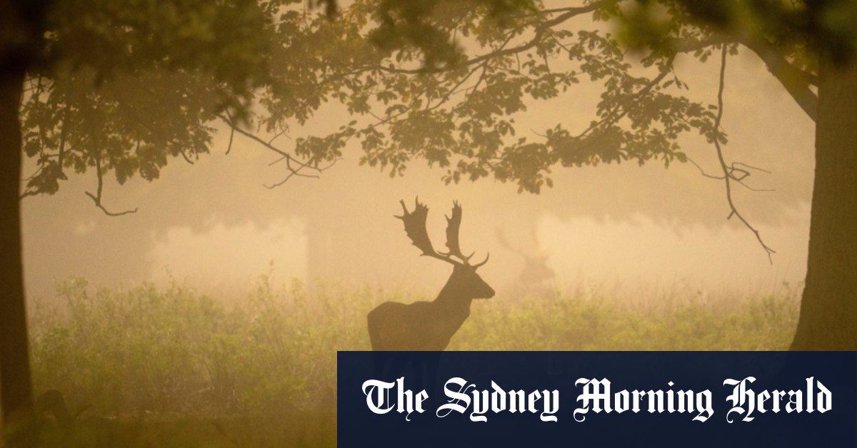 Gallery: The best photos from around the world