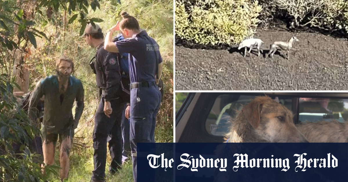 Video: Woman mauled by dogs undergoes surgery as pet fights for life