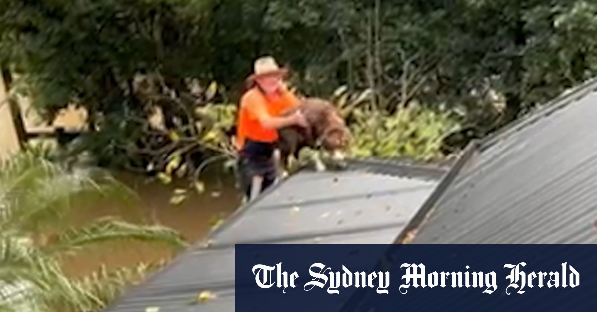 Video: People stranded on rooftop in Taree