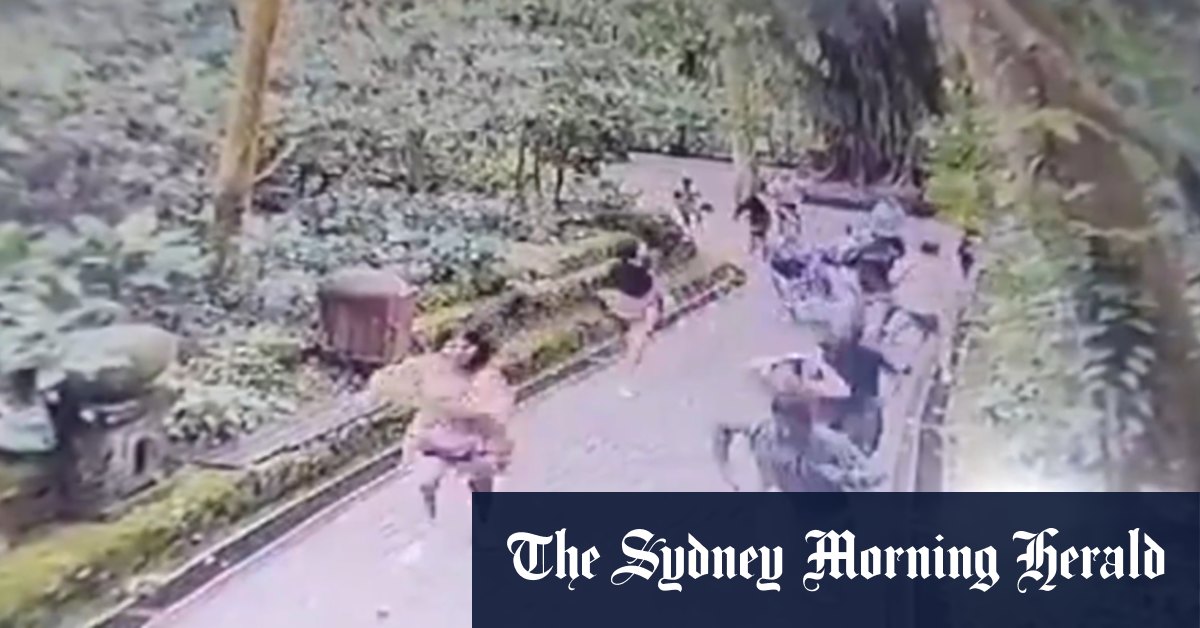 Video: Two tourists killed when large tree falls in Bali's Monkey Forest