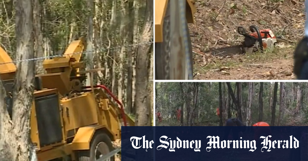 Video: Murder accused claimed 'man fell into woodchipper'