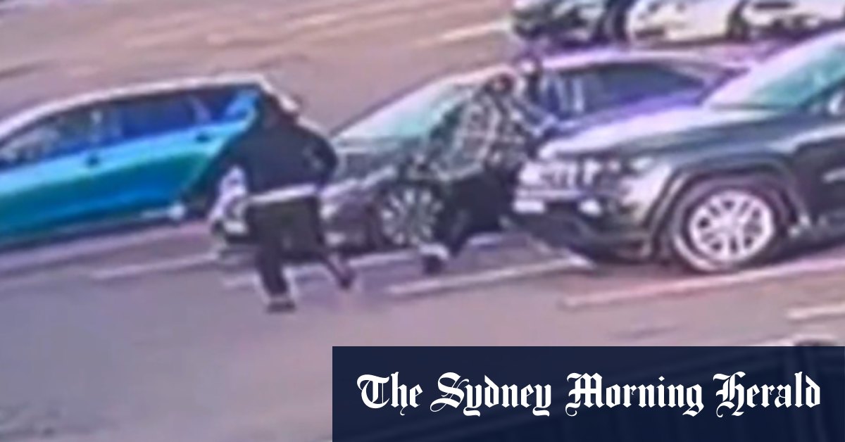 Video: Four hurt in drama sparked in Mitre 10 car park