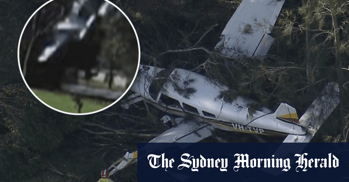 Video: CCTV shows moment plane crashes into trees opposite Sydney school