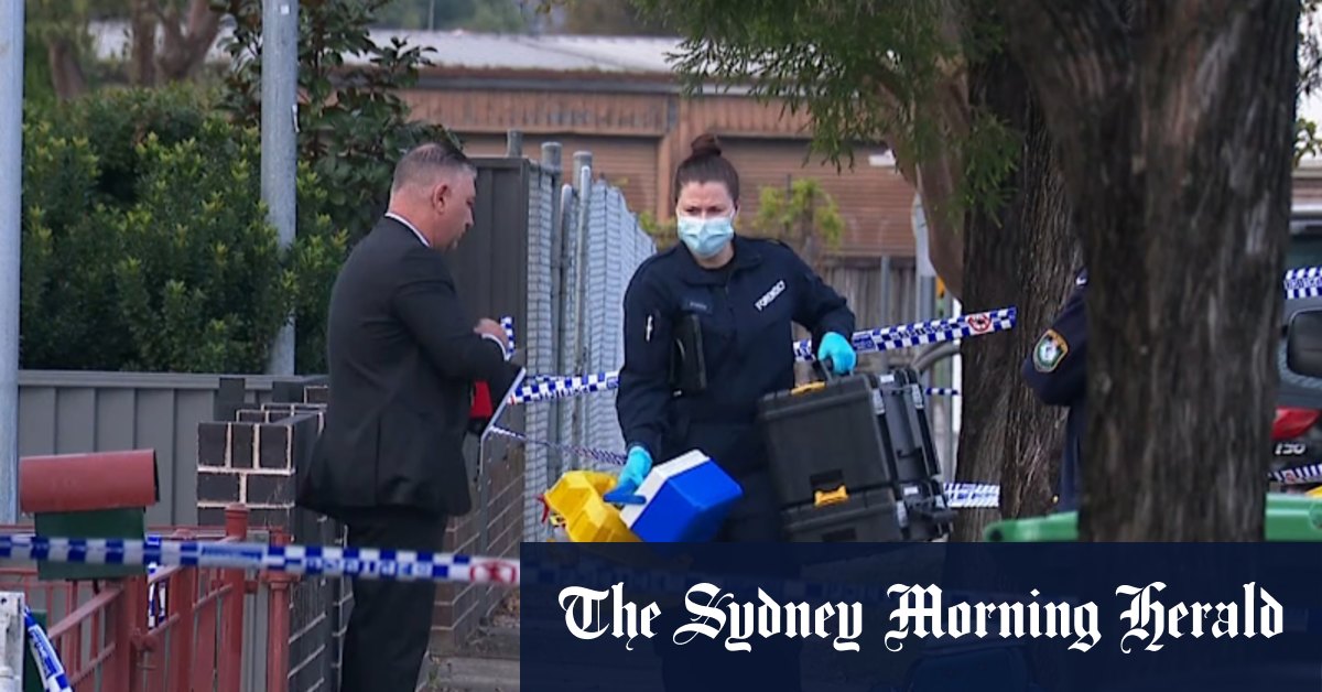 Video: Second man charged over alleged Sydney stabbing murder