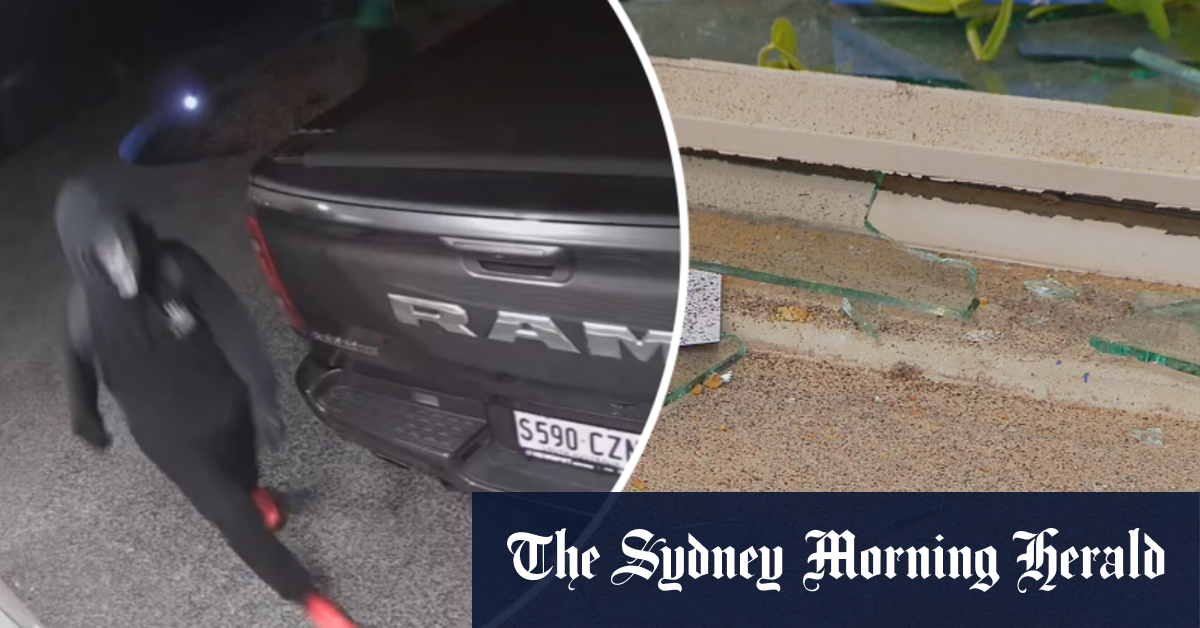 Video: Footage of alleged Adelaide crime spree captured on camera