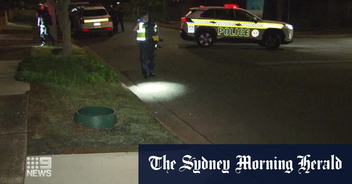 Video: Police hunt suspects after Adelaide stabbing