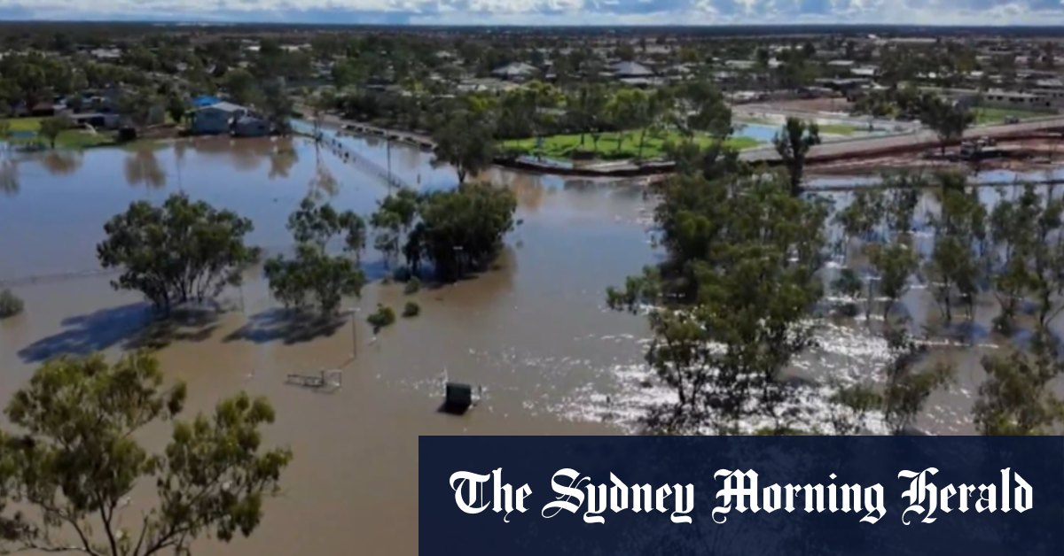 Video: Disaster for farmers in Queensland outback floods