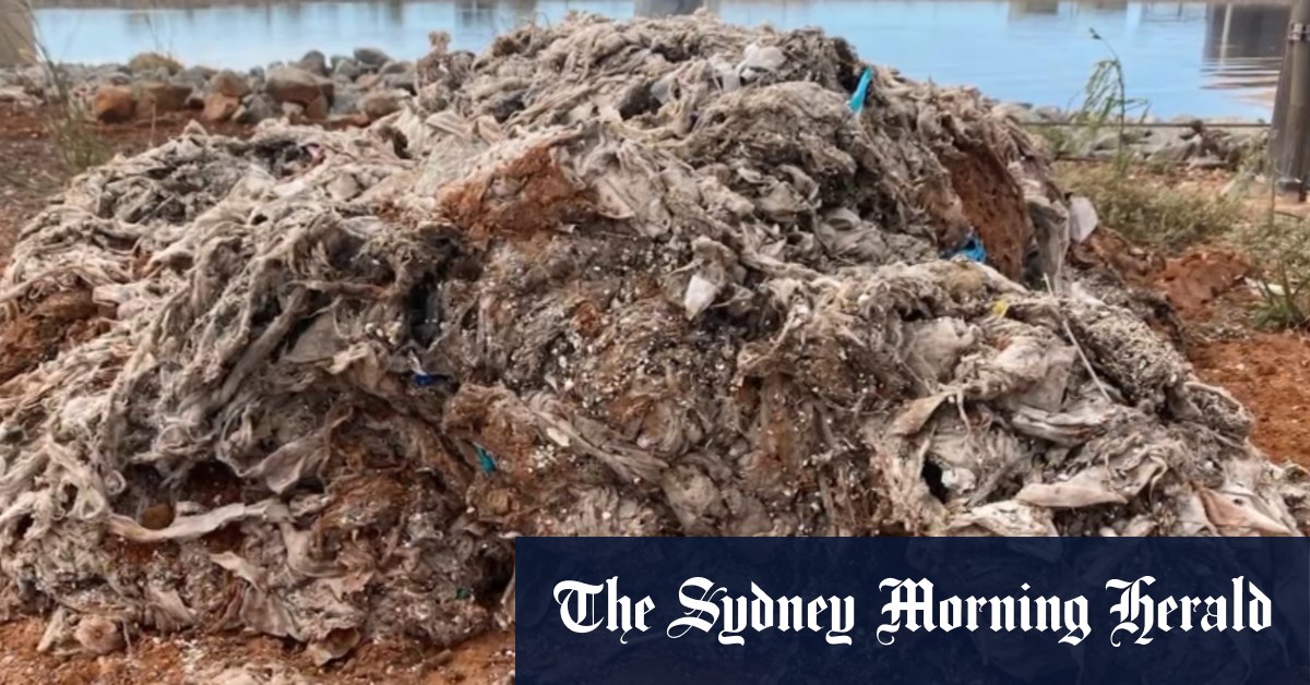 Video: 'Fatberg' forces cancellation of Bryan Adams' Perth show