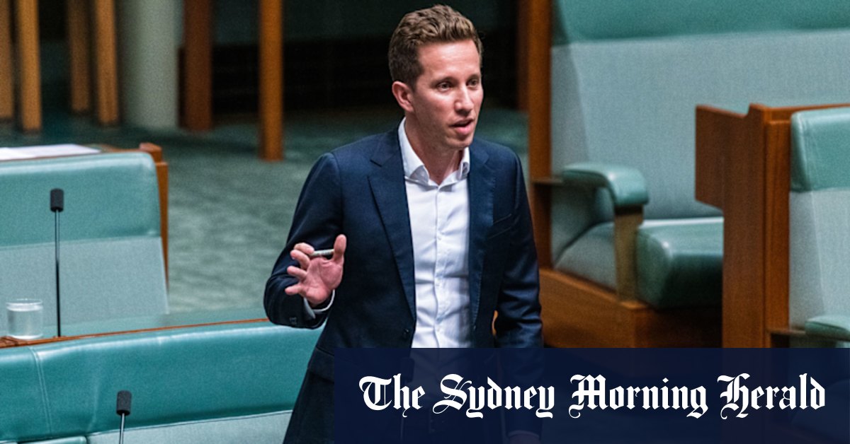 Video: Greens MP breaks down in Parliament