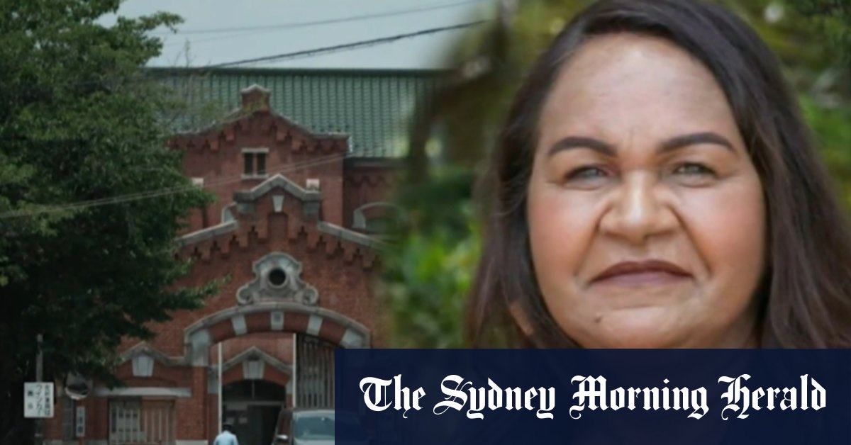 Video: Donna Nelson’s granddaughter allowed Japanese prison visit