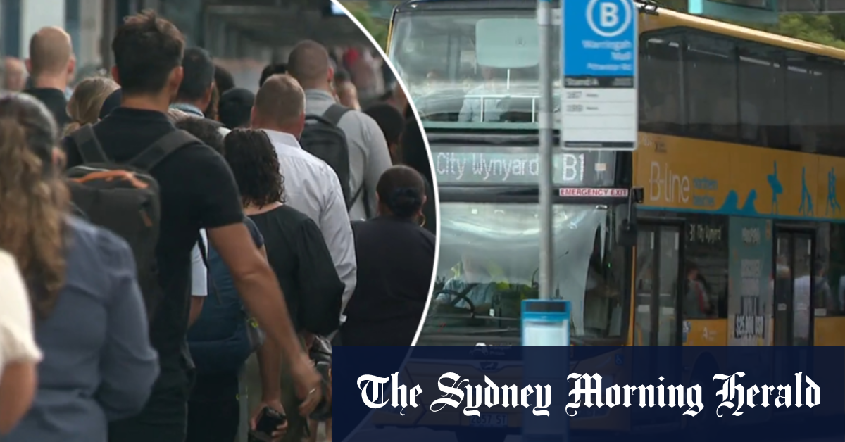 Video: Dozens of Sydney buses cancelled