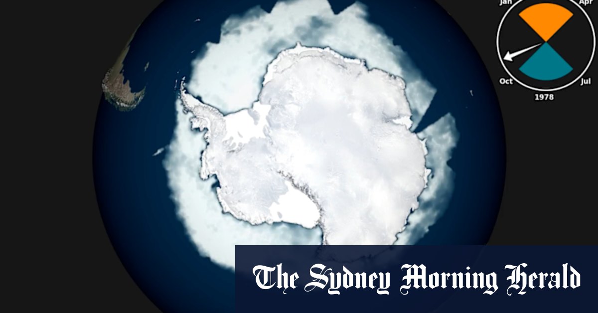 Video: Animation of Antarctic sea ice coverage 1978-2023