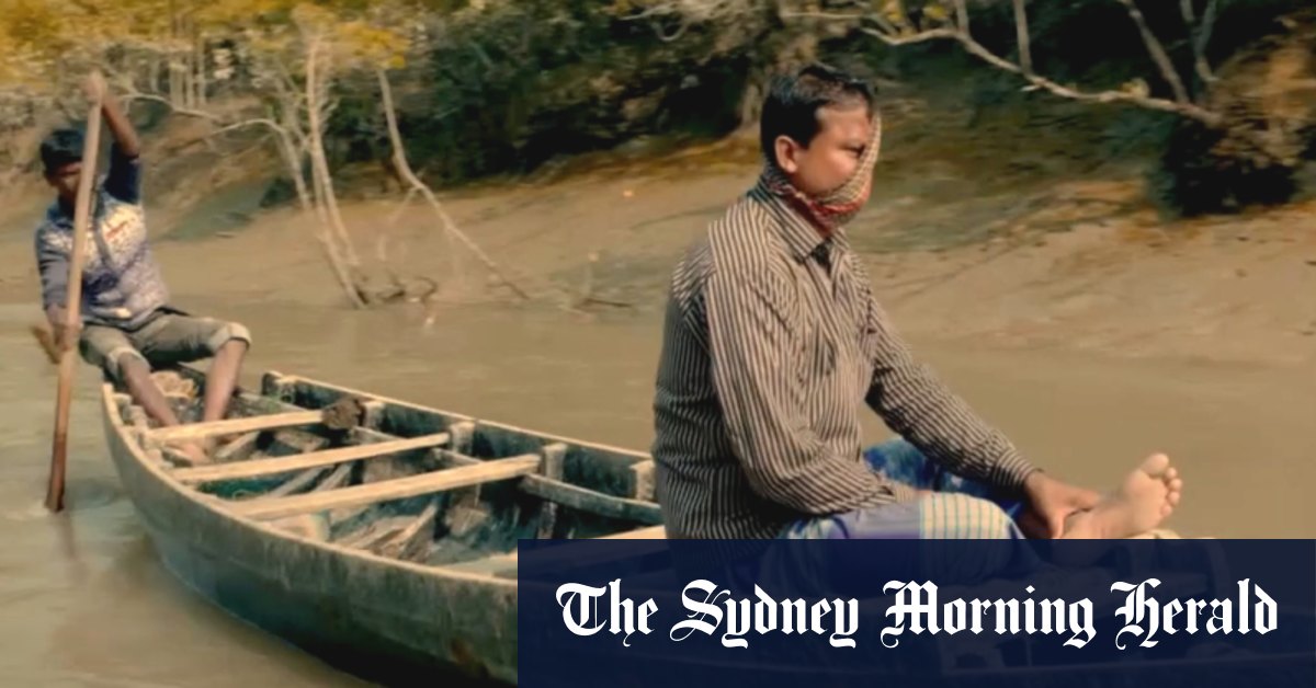 Video: Hashmot returns to the site of his incident