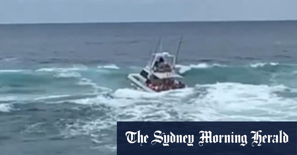 Video: Man falls overboard as tourist charter boat hits huge swell