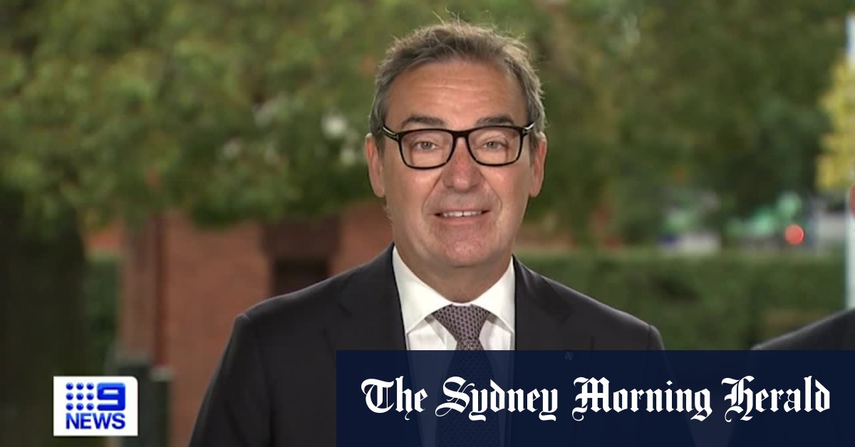 Video: Steven Marshall to resign from parliament