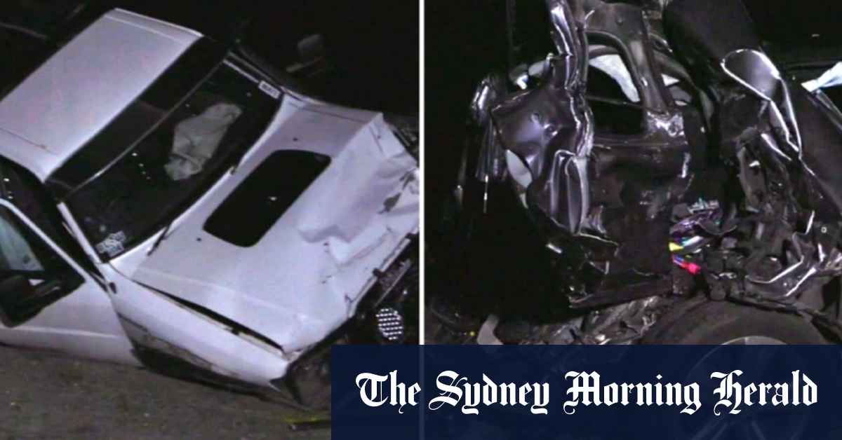 Video: Young boy killed in horror crash caused by emu