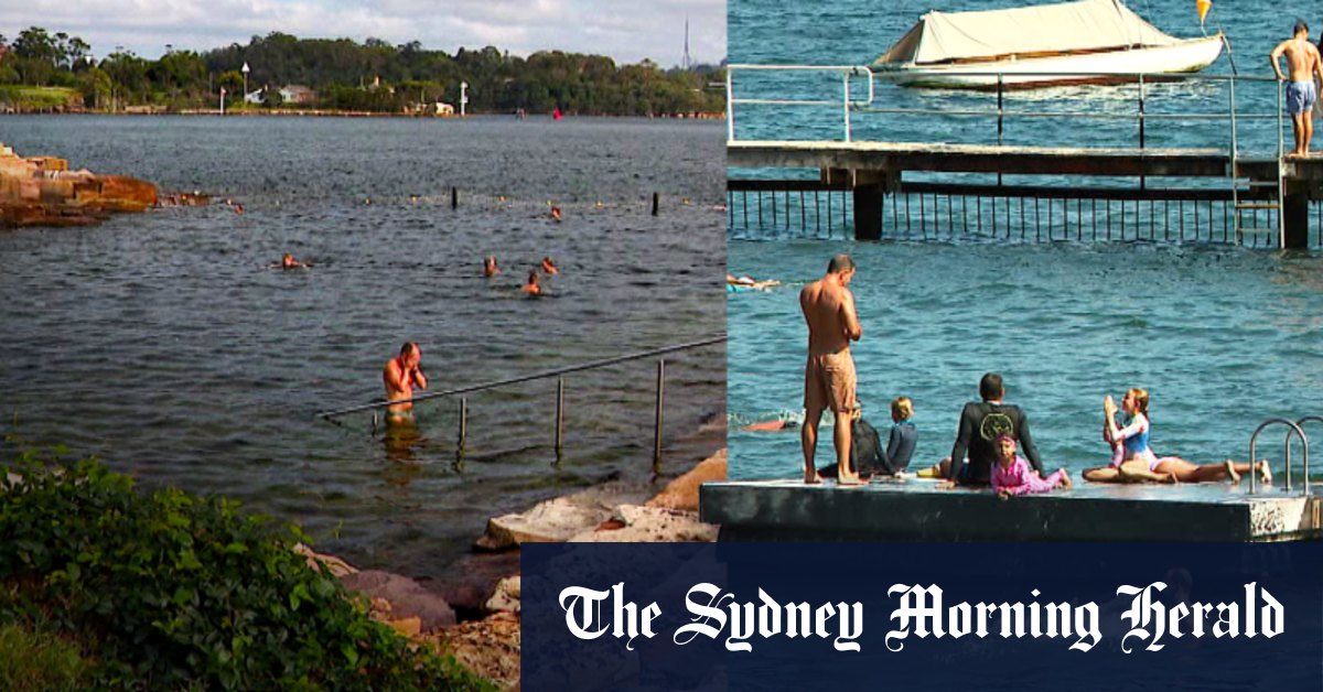 Video: Sydney water testing reveals polluted ocean pools