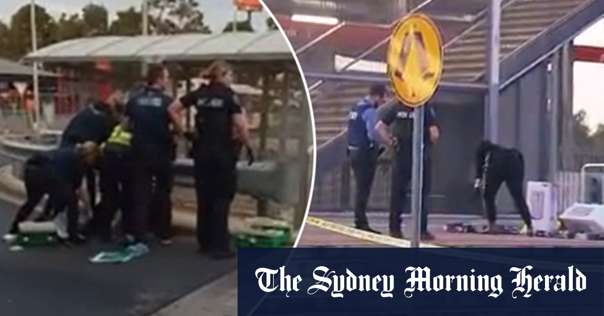 Video: Security guard stabbed after chasing down alleged shoplifters