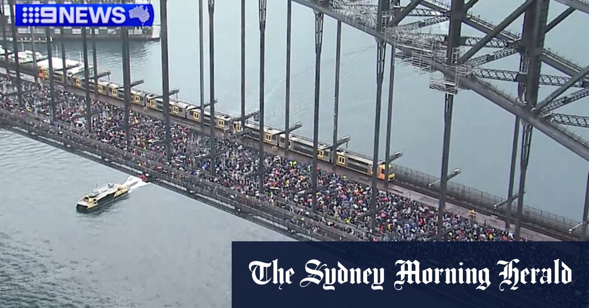 Video: Pro-Palestine March