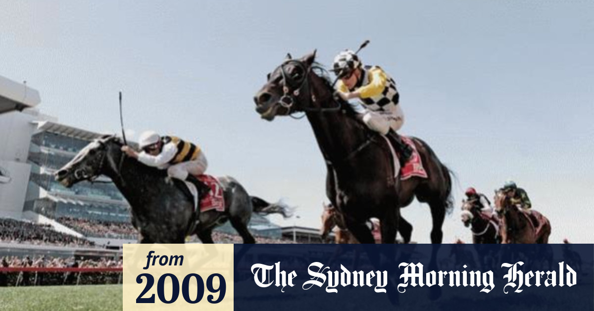 Video: Flemington track 'perfect'