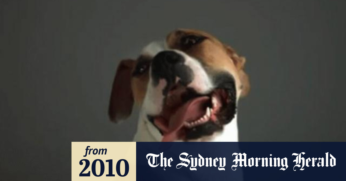 Video: Slow mo dog ad