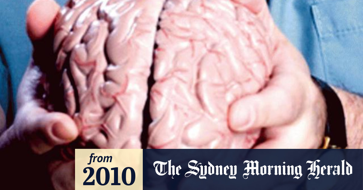 Video: The Brain That Changes Itself