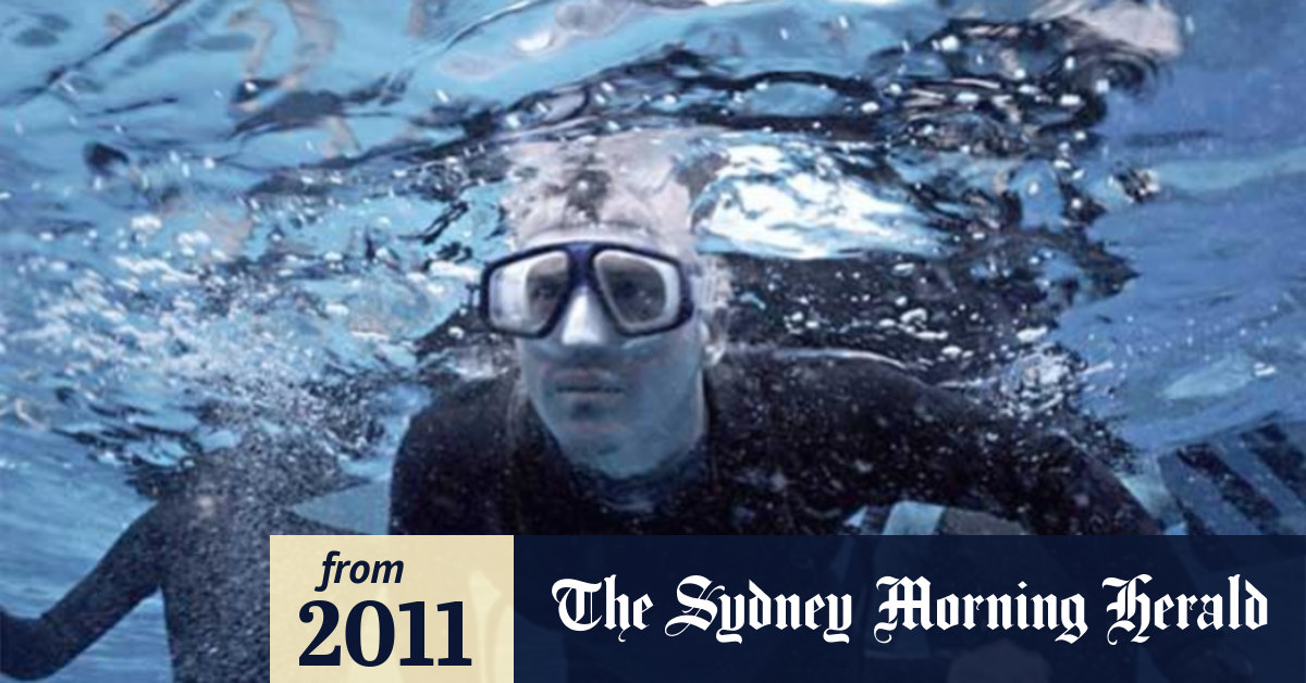 Video: The Reef - Trailer