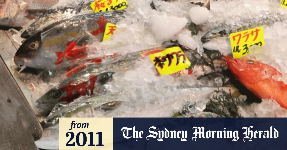 Video: Japanese fish given radiation scales