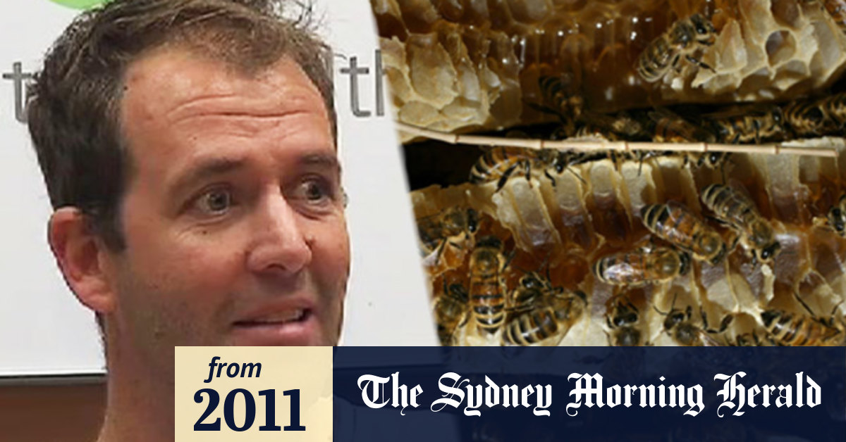 Video: A night of comedy and bee stings