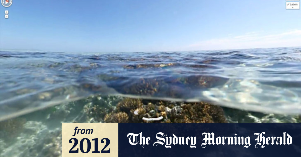 Video: Dive underwater with Google Maps