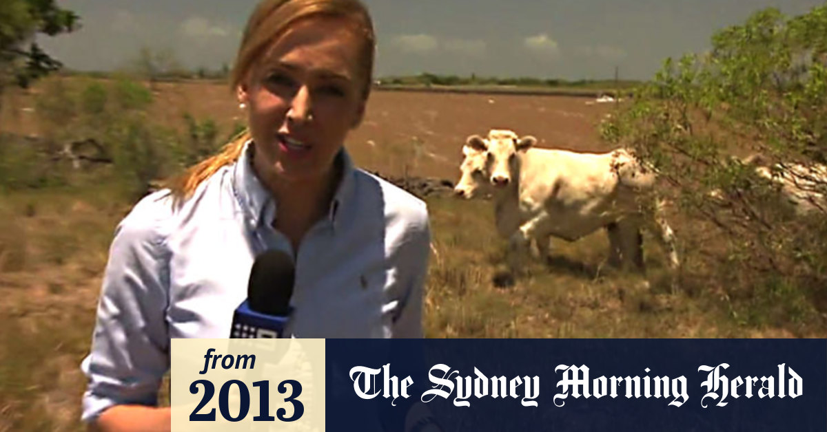Video: Cow charges reporter at floods