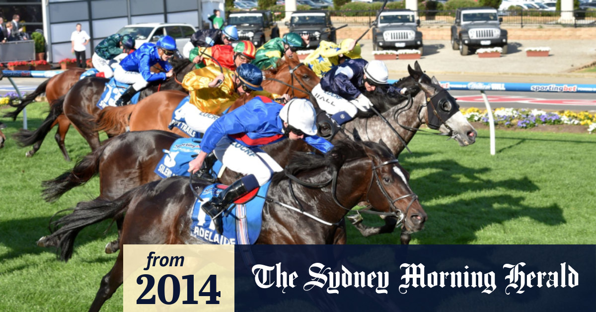 Cox Plate winner Adelaide will launch Sydney assault after summer break