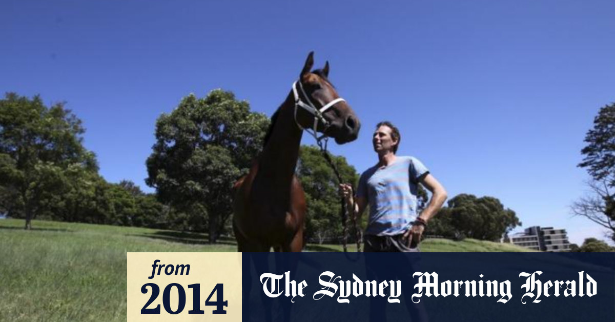 Small-time Colin Scott hopes Speediness is the one to break top-line maiden