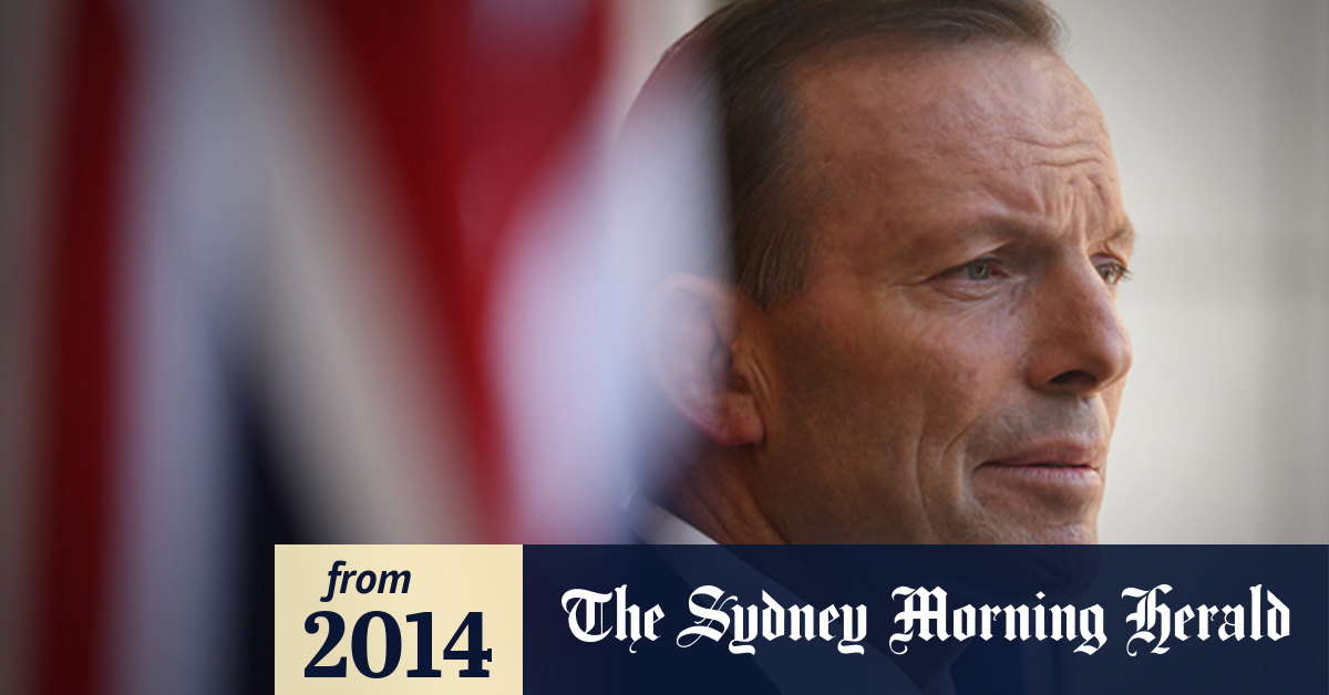 Video: The week that was