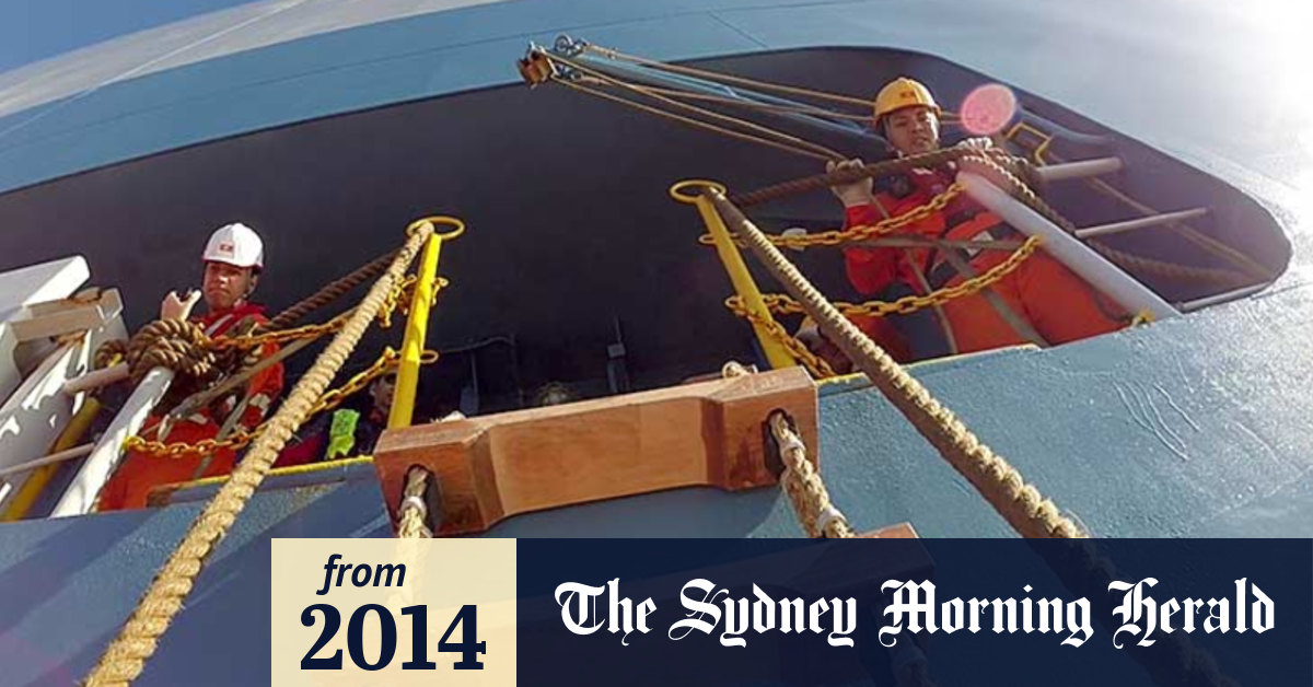 Video: Climb aboard with Melbourne's sea pilots