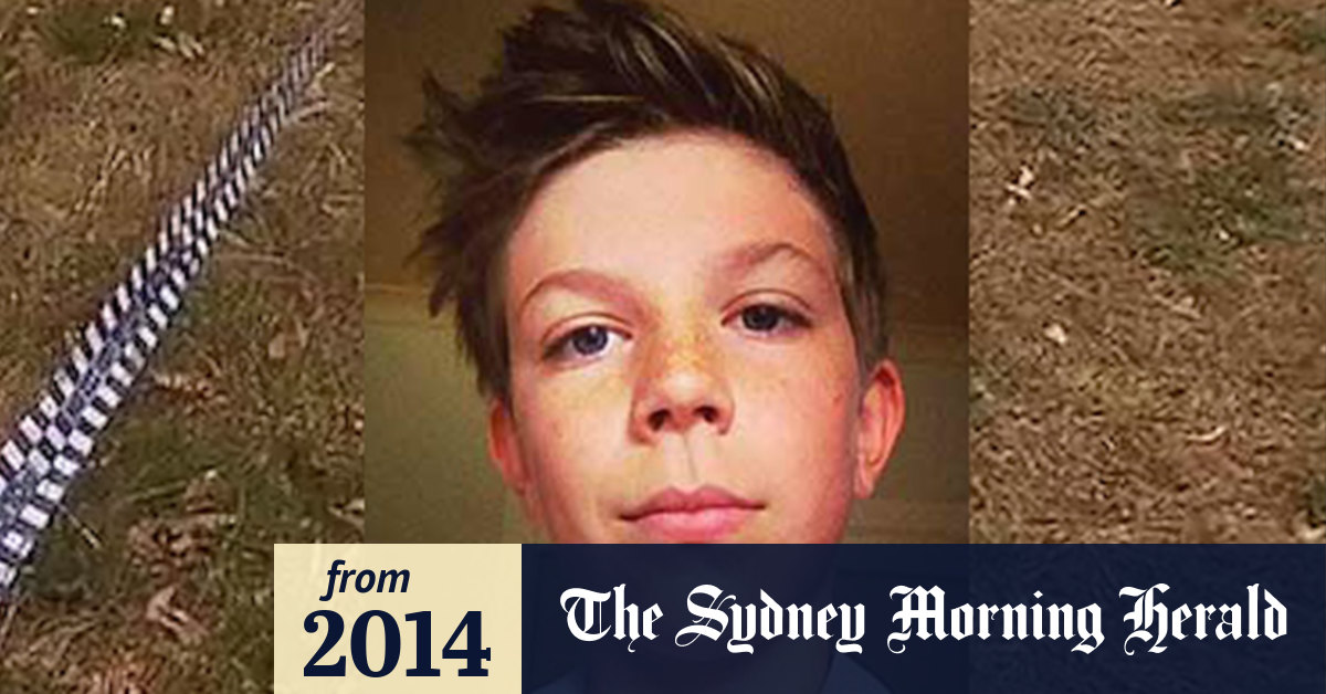 Video: Friends shocked at Luke Batty's brutal death